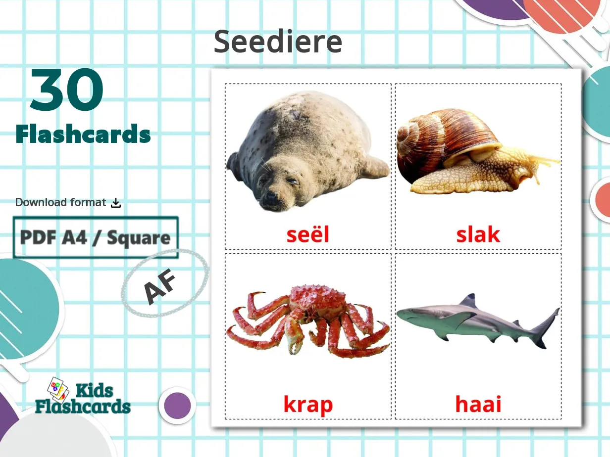 30 Printable Sea animals Flashcards in Afrikaans (Free PDF)