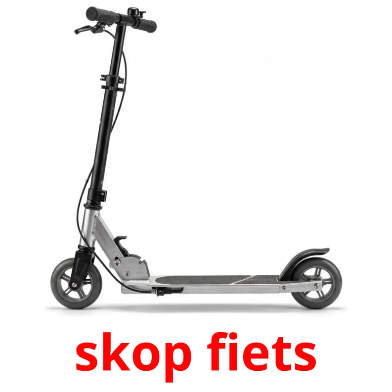 16 FREE Bicycle transport Flashcards | PDF | Afrikaans Words