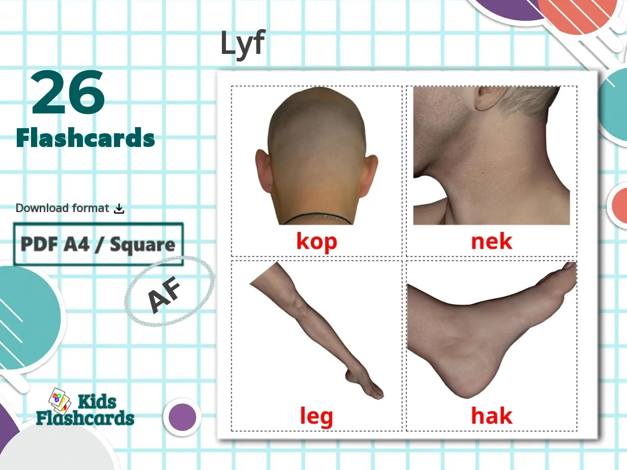 26 Printable Body Parts Flashcards In Afrikaans Free Pdf