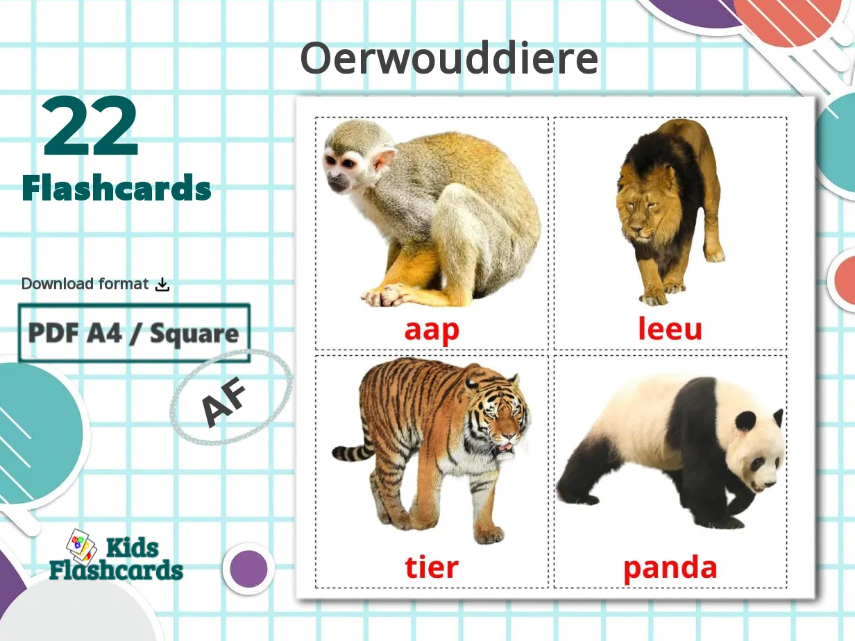 22 Printable Jungle animals Flashcards in Afrikaans (Free PDF)