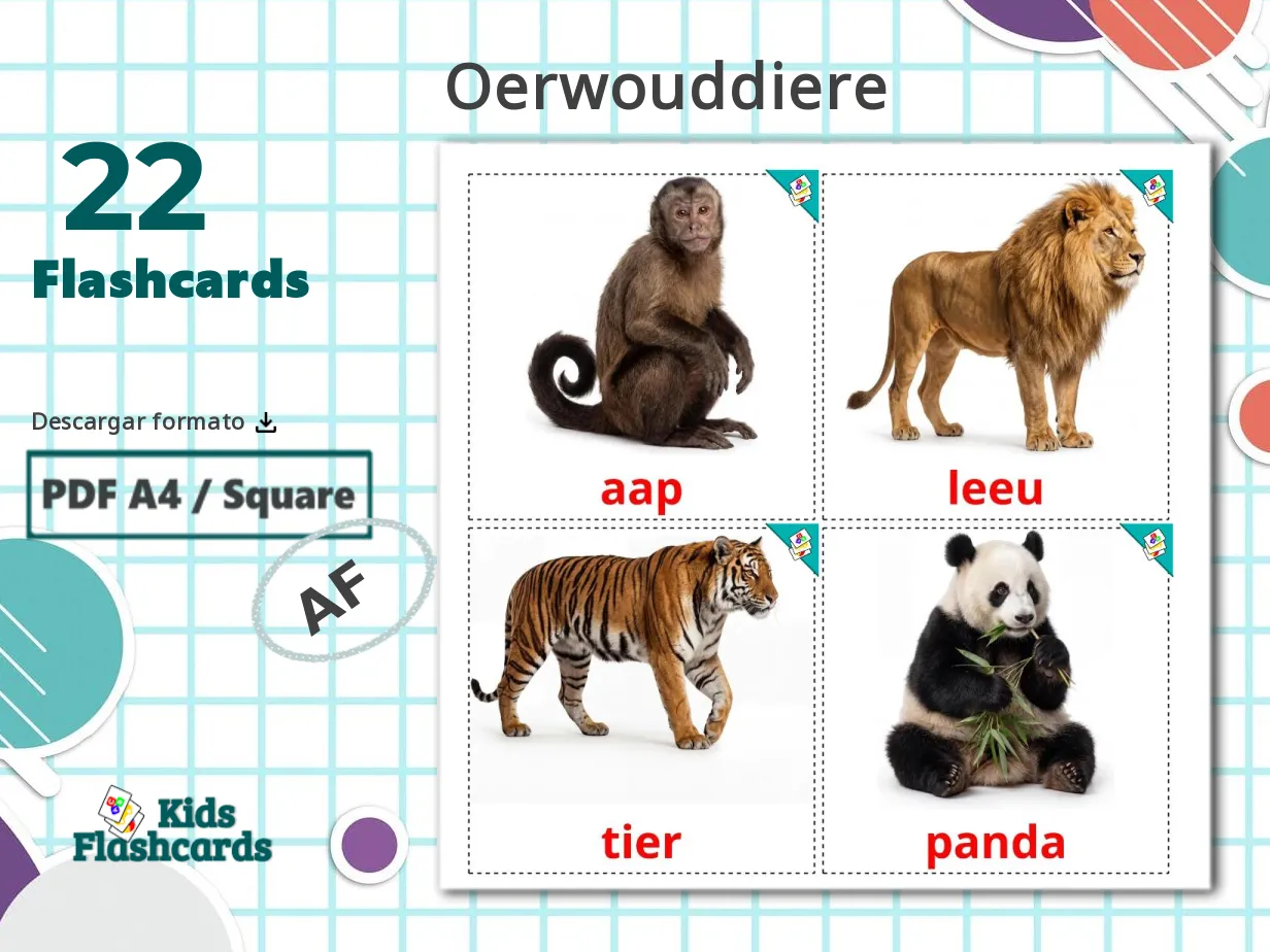 22 Tarjetas de Aprendizaje de Animales de la Selva GRATIS en PDF ...