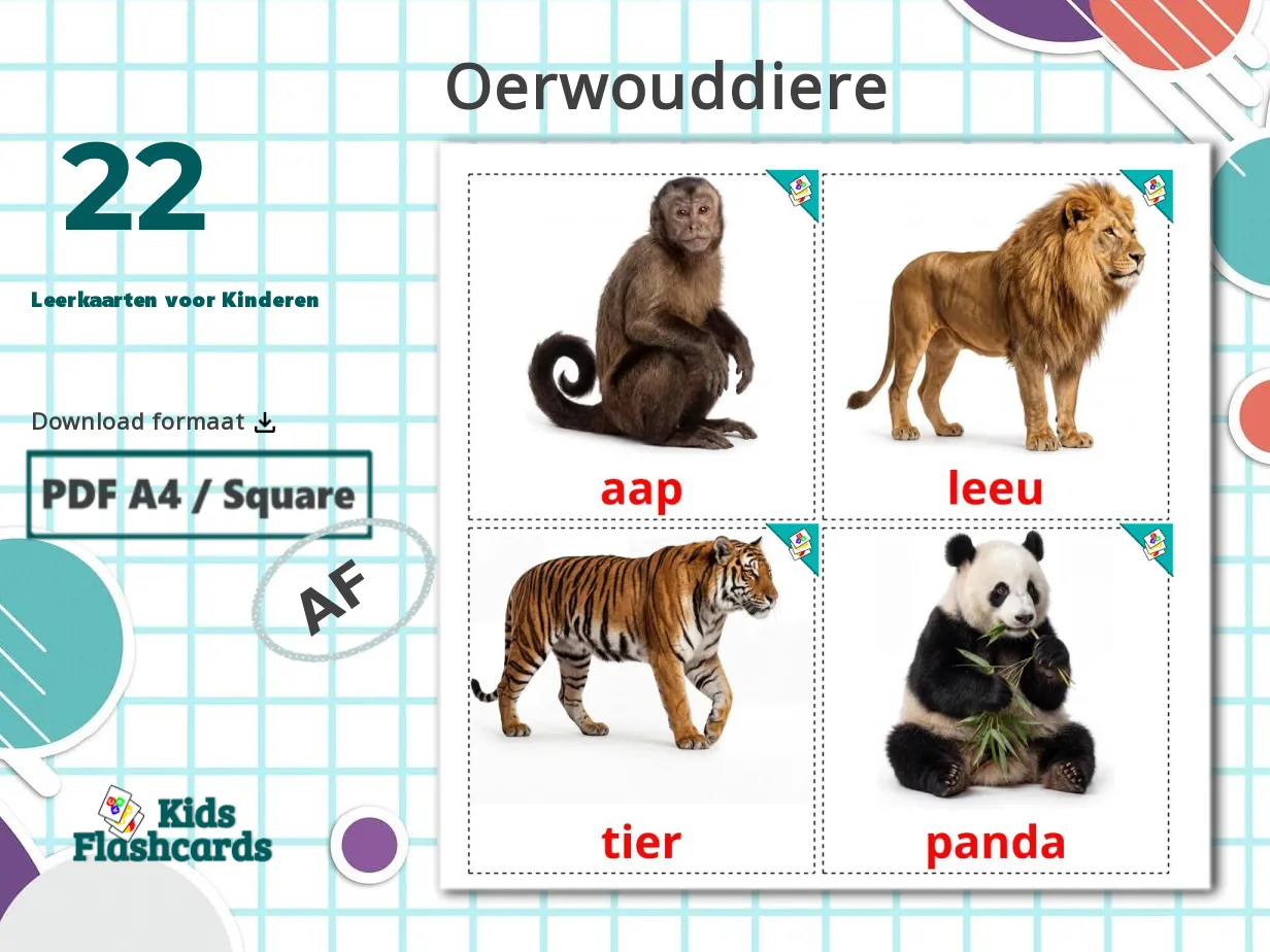 22 GRATIS Jungle dieren Leerkaarten voor Kinderen in 4 PDF formaten ...