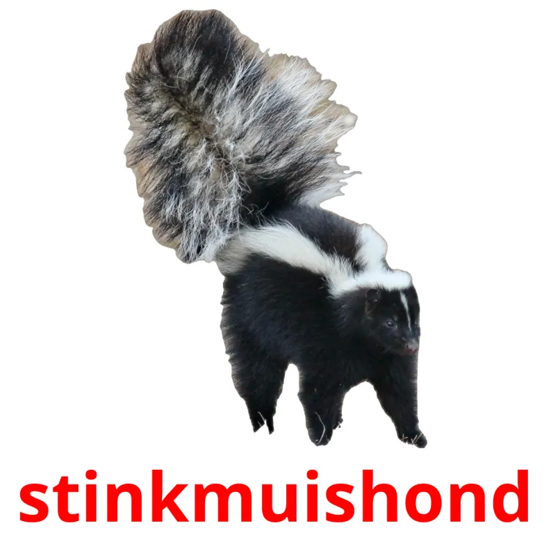 22 GRATIS Bosdieren Flashcards in 4 PDF formaten | Afrikaans Afbeeldingen