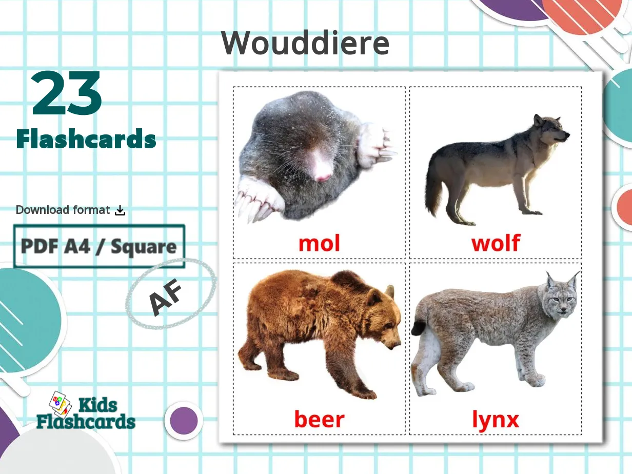 23 Printable Forest animals Flashcards in Afrikaans (Free PDF)