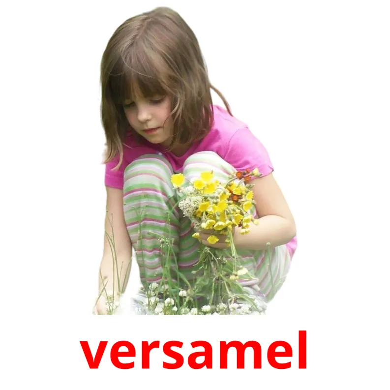 51 FREE Action verbs Flashcards | PDF | Afrikaans Words