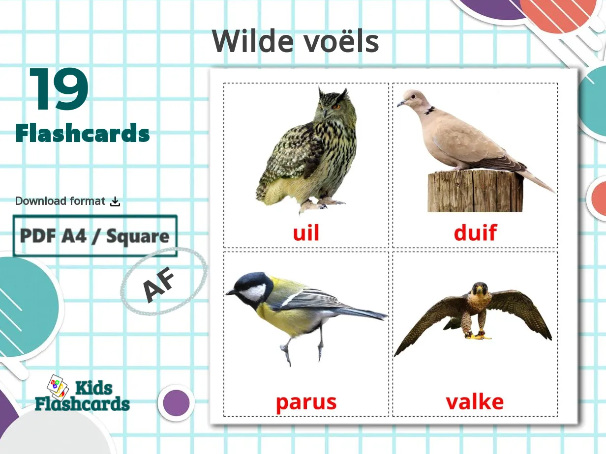 19 Printable Wild birds Flashcards in Afrikaans (Free PDF)
