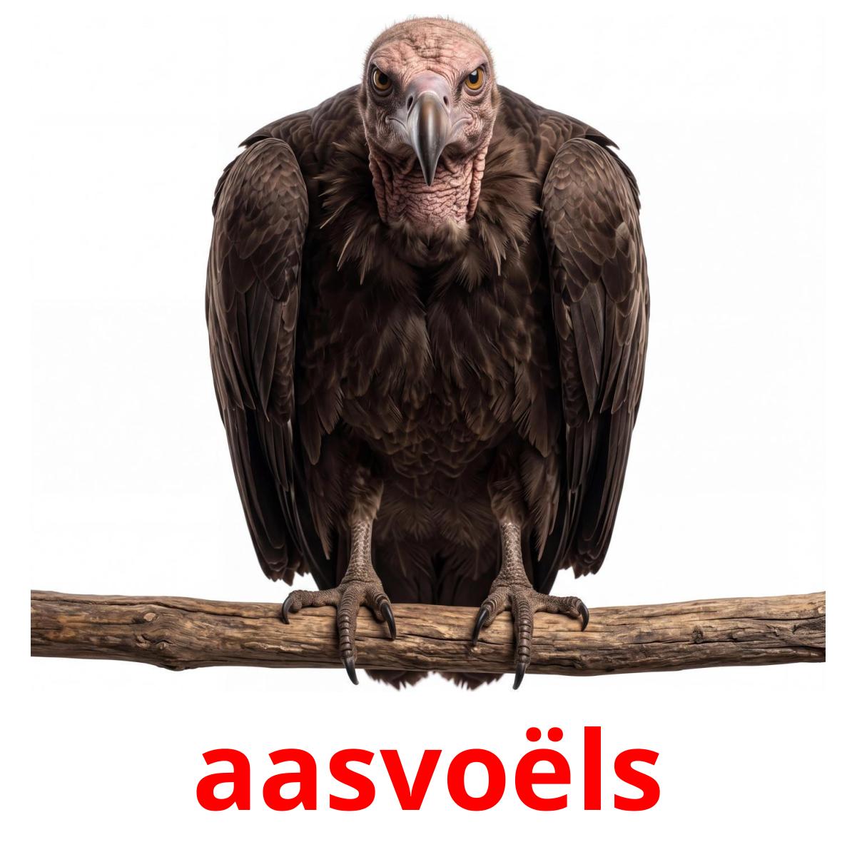 31 FREE Afrikaans Birds Flashcards | PDF