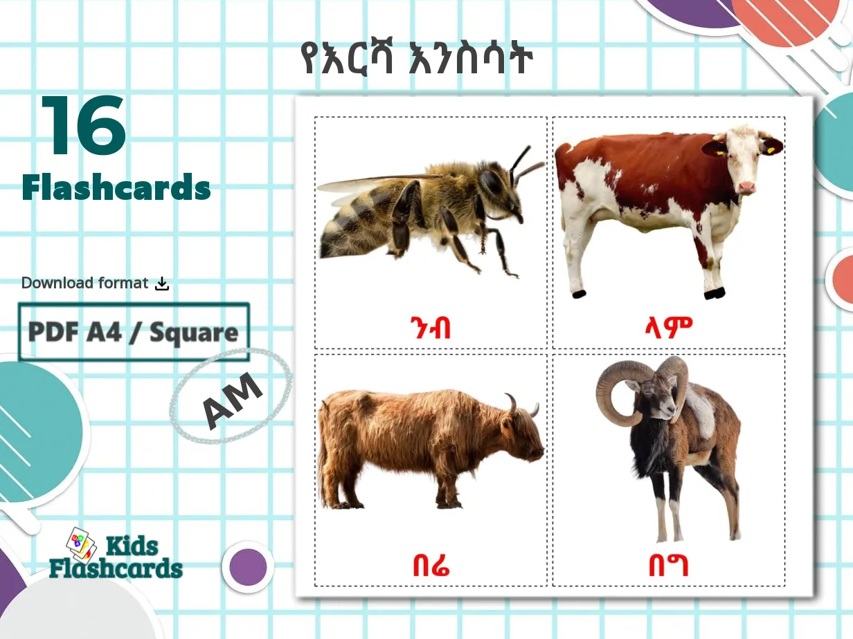 16 Printable Farm animals Flashcards in Amharic (Free PDF)