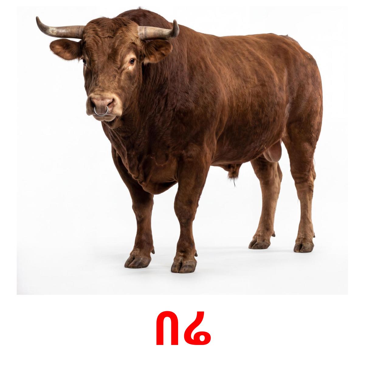 16 Printable Farm animals Flashcards in Amharic (Free PDF)