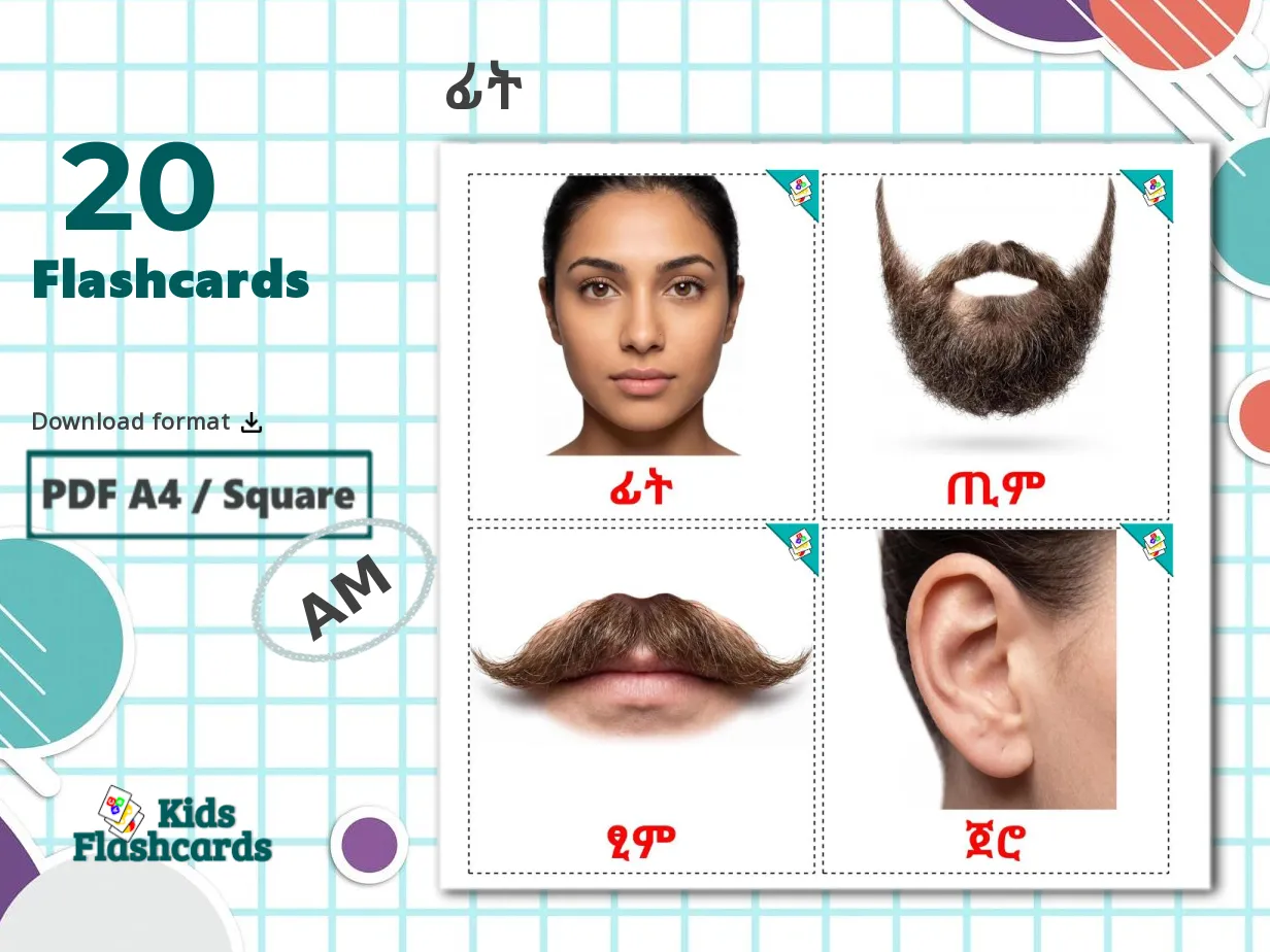 20 Printable Face Flashcards in Amharic (Free PDF)