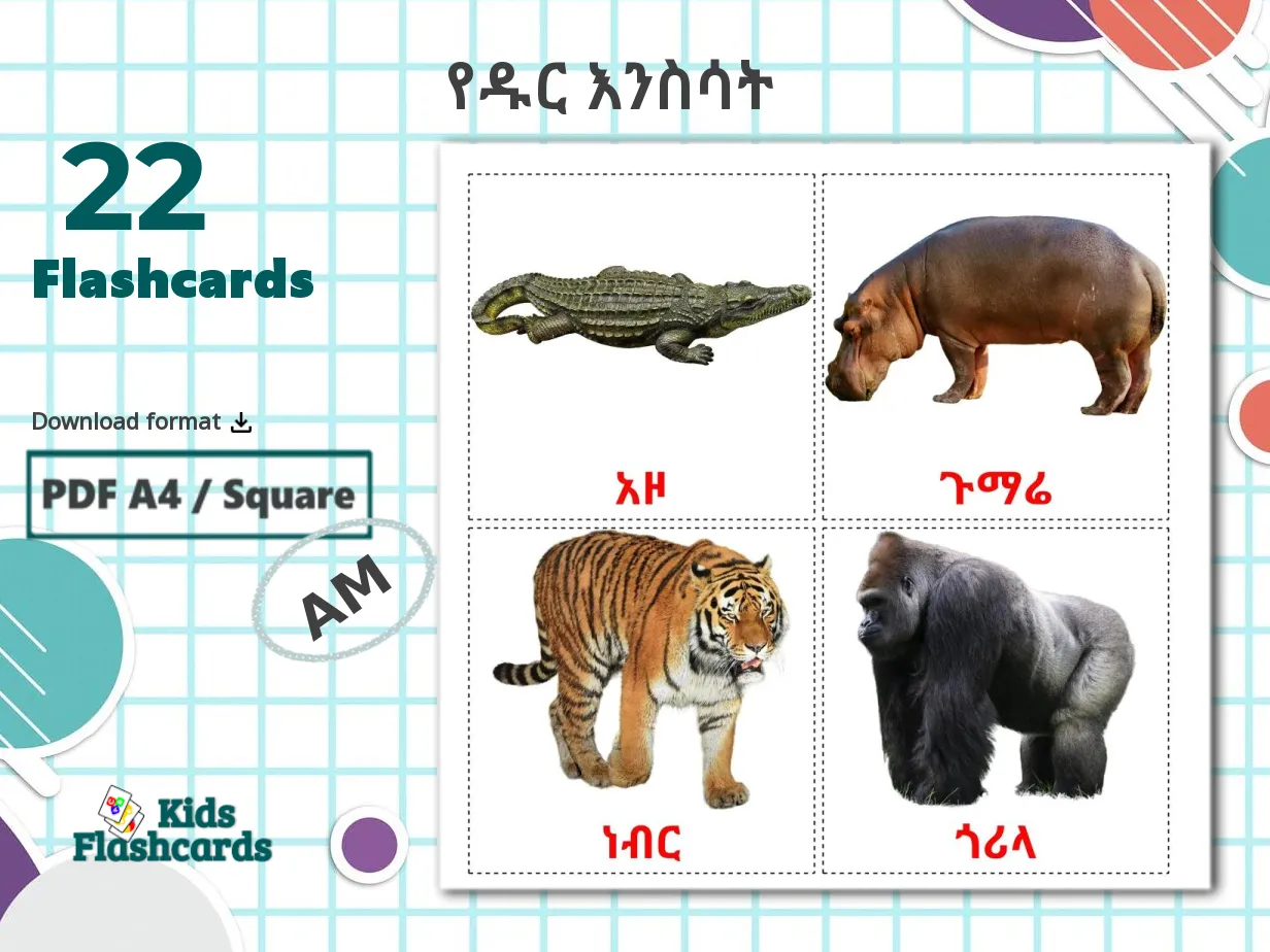22 Printable Jungle animals Flashcards in Amharic (Free PDF)