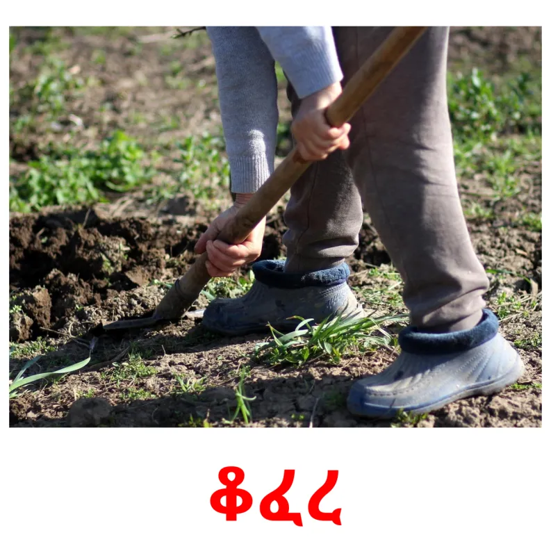 51 FREE Action verbs Flashcards | PDF | Чешском Words