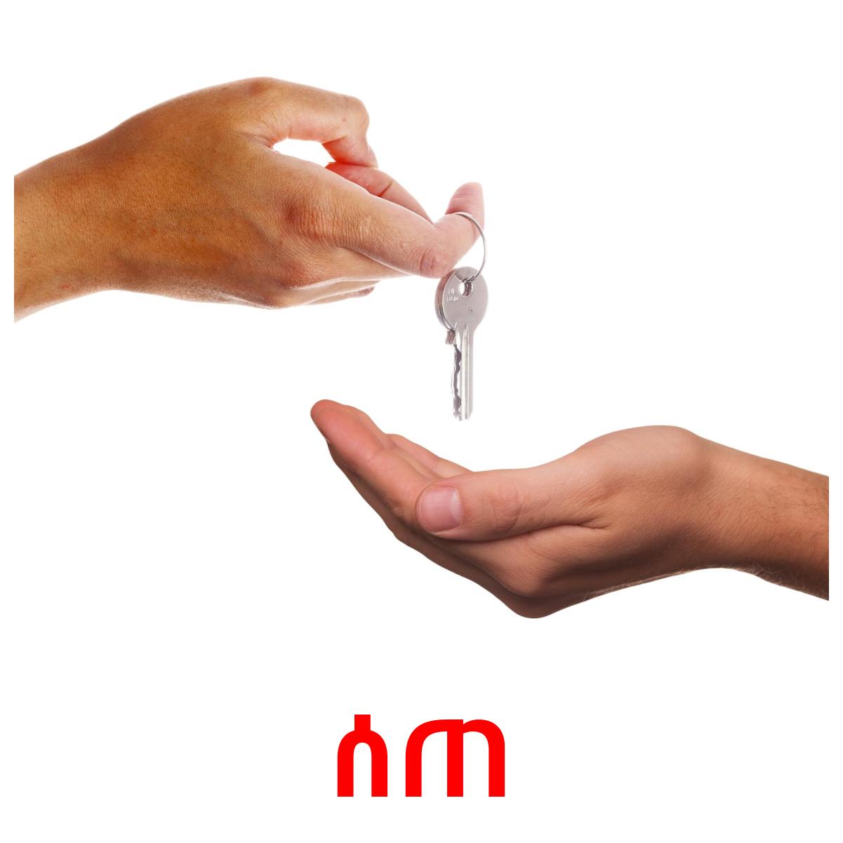 52 Printable Action verbs Flashcards in Amharic (Free PDF)