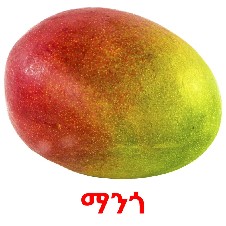 60 FREE Amharic Food Flashcards | PDF