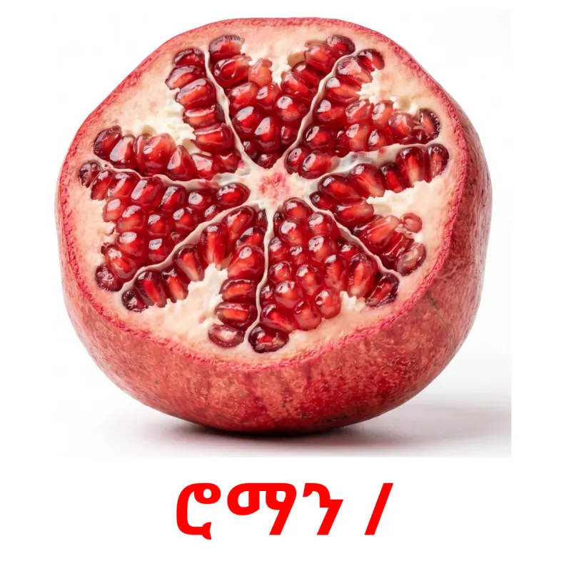 20 FREE Fruits Flashcards in 4 PDF formats | Amharic Pictures