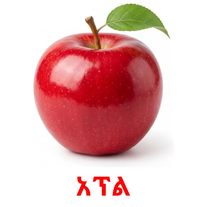 20 FREE Fruits Flashcards | PDF | Amharic Words