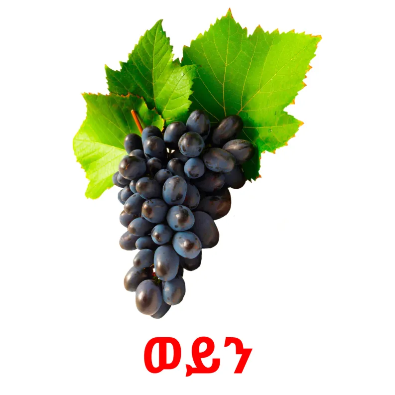 20 FREE Fruits Flashcards | PDF | Amharic Words