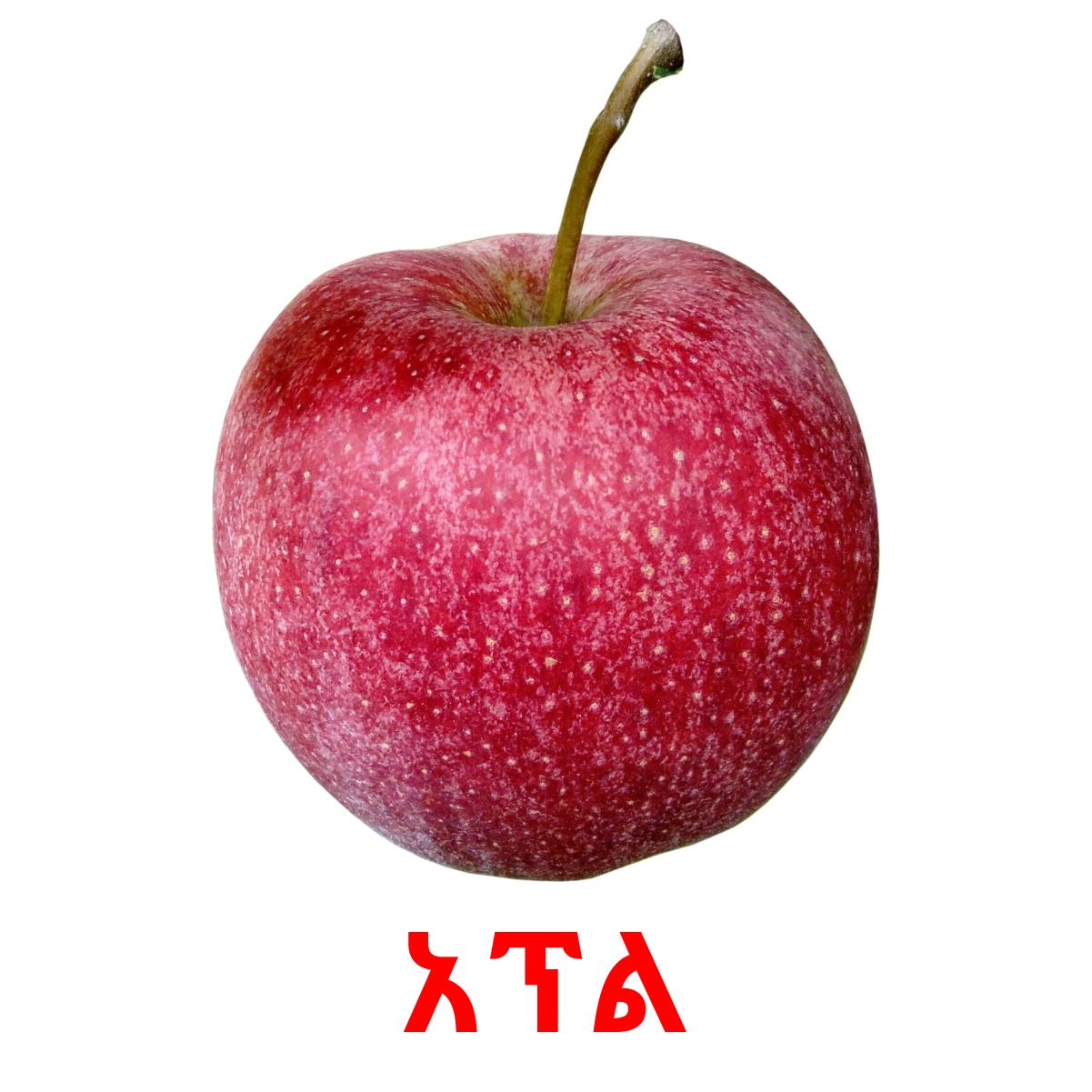 21 Printable Fruits Flashcards in Amharic (Free PDF)