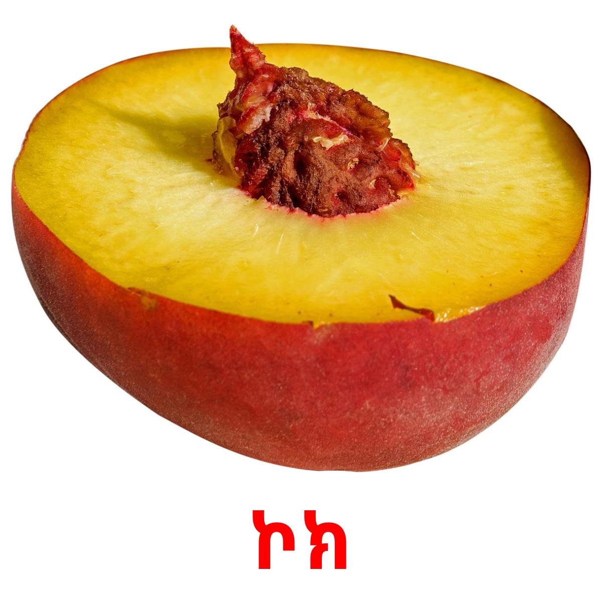 21 Printable Fruits Flashcards in Amharic (Free PDF)