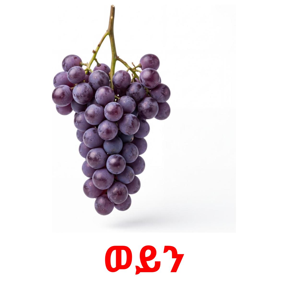 21 Printable Fruits Flashcards in Amharic (Free PDF)