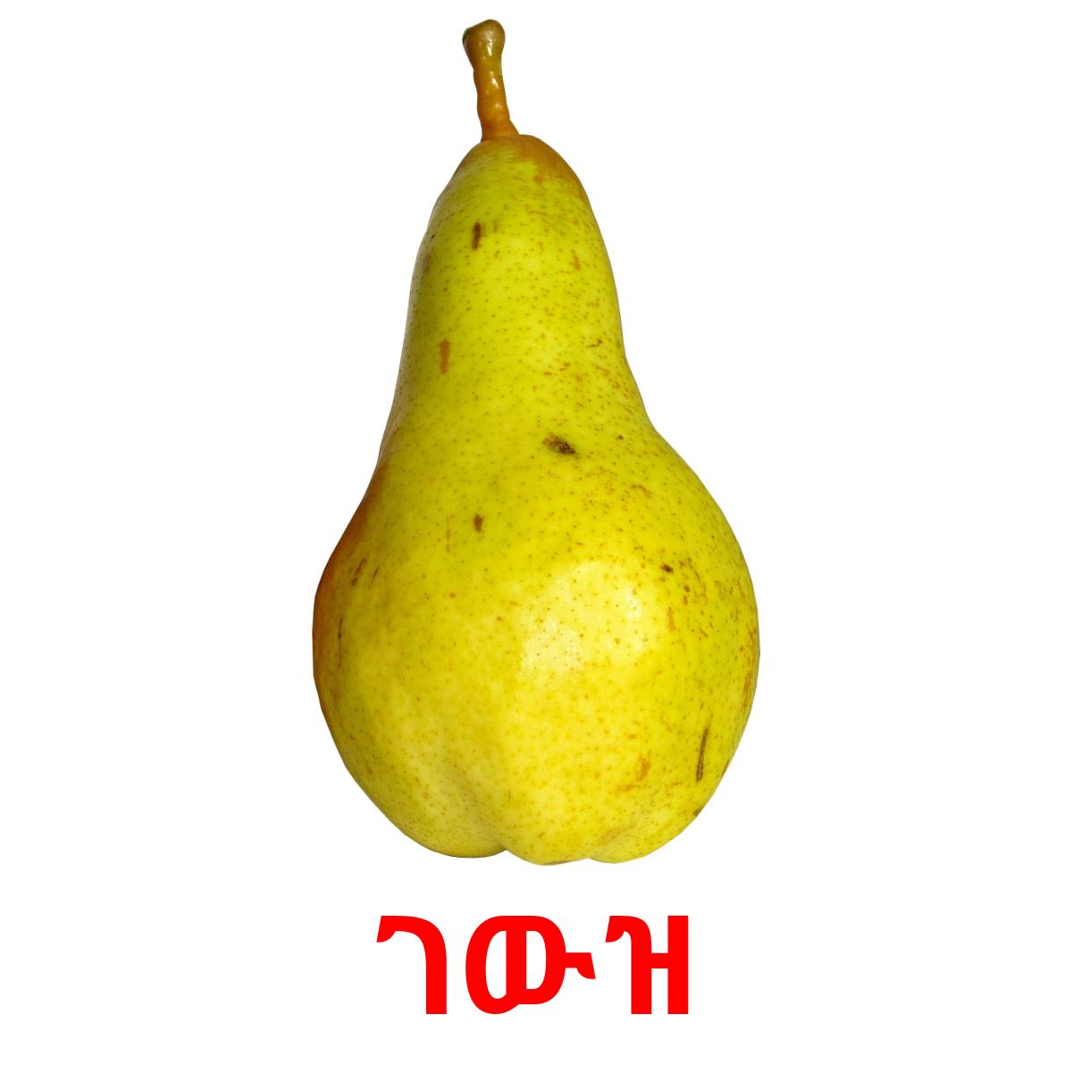 21 Printable Fruits Flashcards in Amharic (Free PDF)