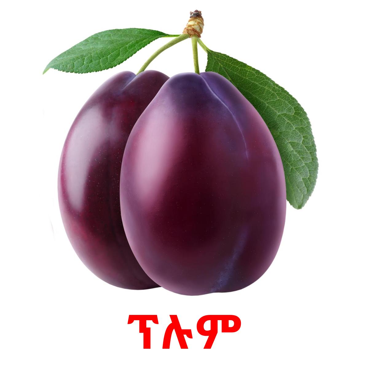 21 Printable Fruits Flashcards in Amharic (Free PDF)