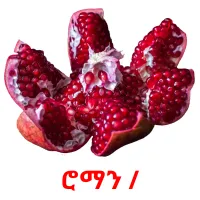 20 FREE Fruits Flashcards | PDF | Amharic Words