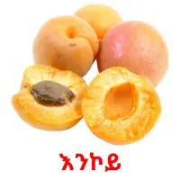 20 FREE Fruits Flashcards | PDF | Amharic Words