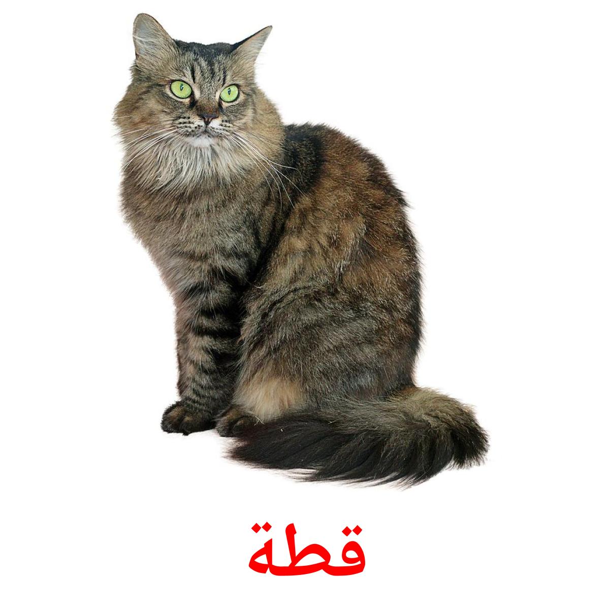11 Printable Domestic animals Flashcards in Arabic (Free PDF)