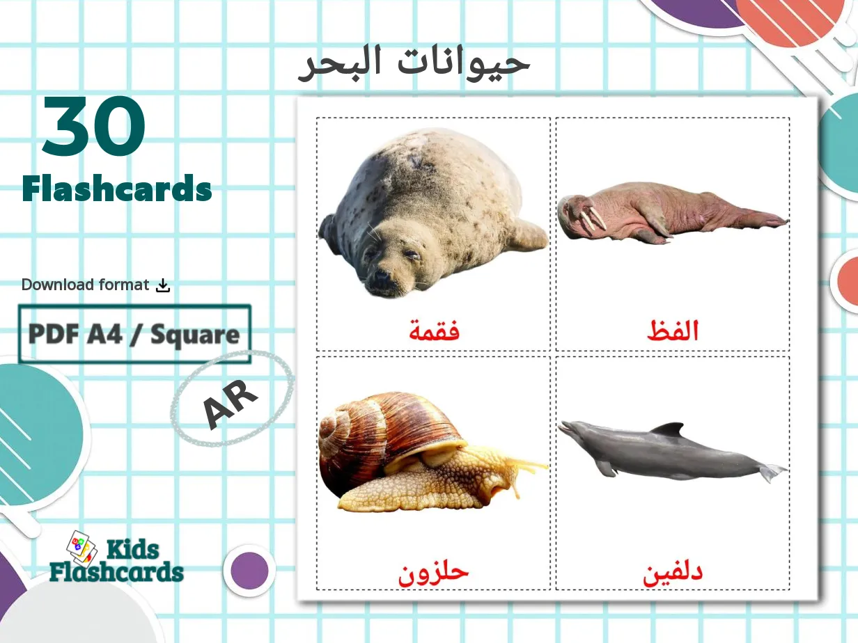 30 Printable Sea animals Flashcards in Arabic (Free PDF)