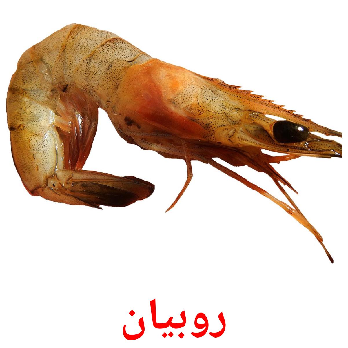 30 Printable Sea animals Flashcards in Arabic (Free PDF)