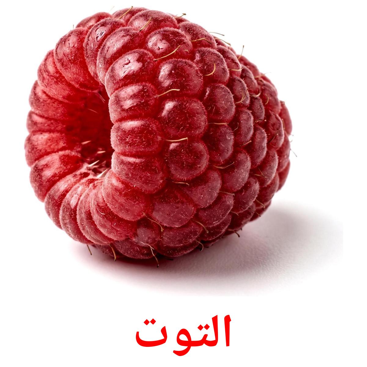 12 Printable Berries Flashcards in Arabic (Free PDF)