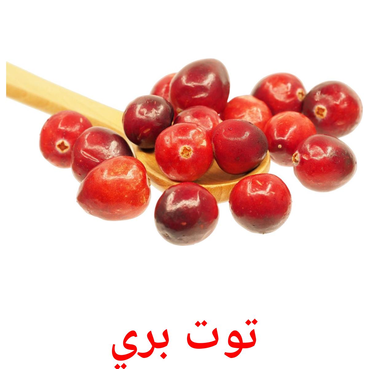 12 Printable Berries Flashcards in Arabic (Free PDF)