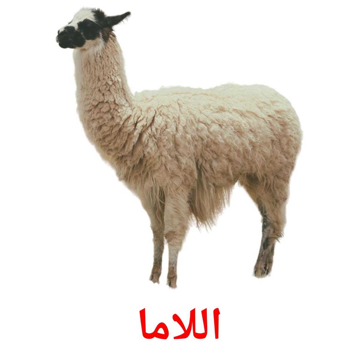 16 Printable Farm animals Flashcards in Arabic (Free PDF)