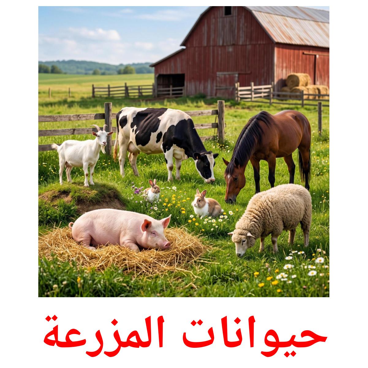 16 Printable Farm animals Flashcards in Arabic (Free PDF)