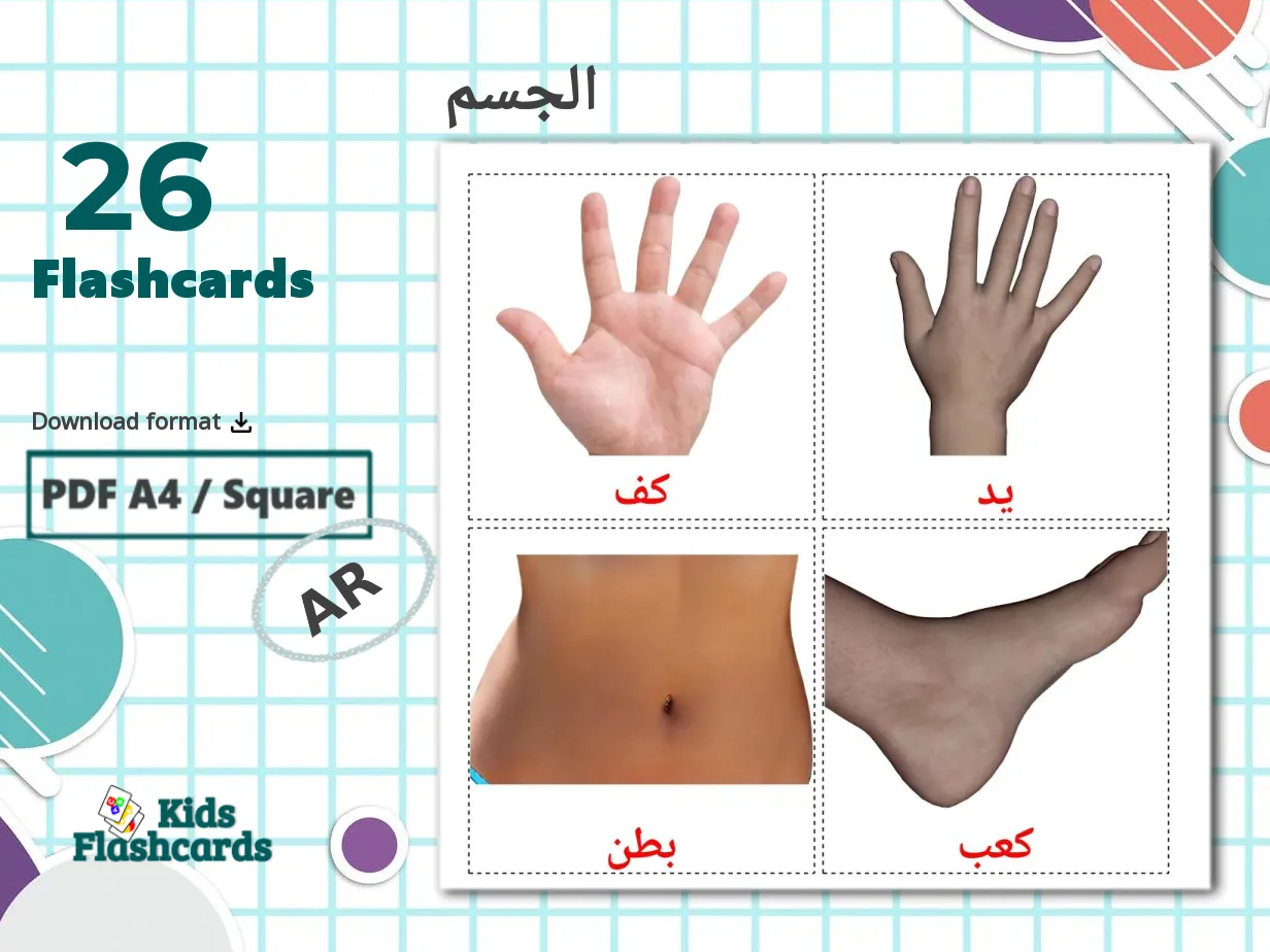 26 Printable Body Parts Flashcards in Arabic (Free PDF)