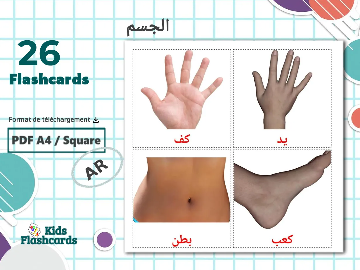 26 Cartes de Vocabulaire pour Enfants GRATUITES Parties du Corps Humain ...