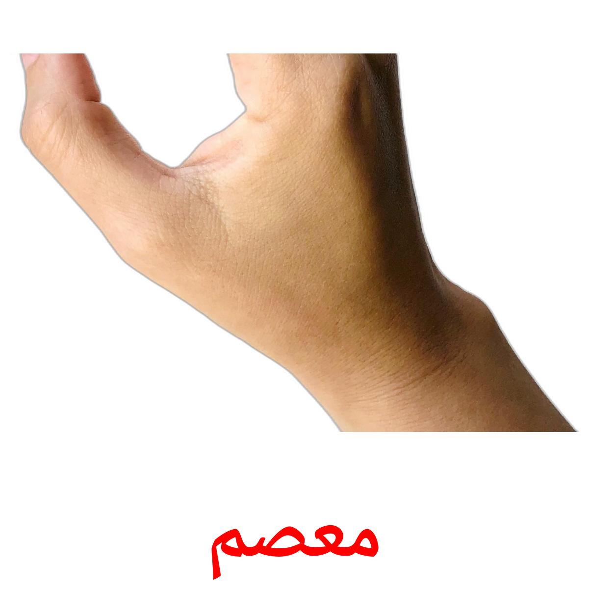 26 Printable Body Parts Flashcards in Arabic (Free PDF)
