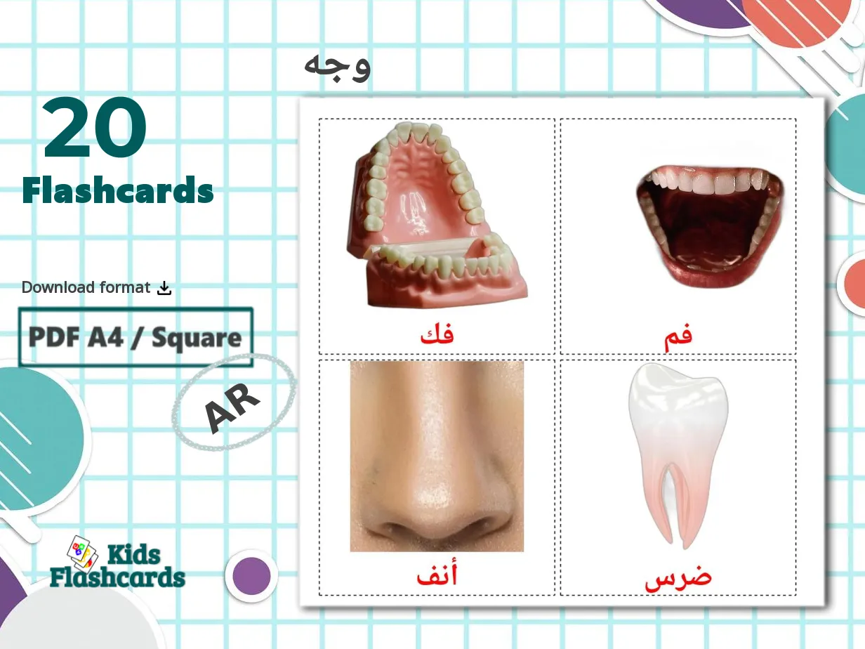 20 Printable Face Flashcards in Arabic (Free PDF)