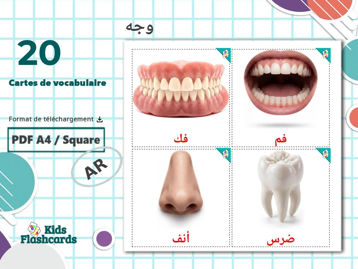 20 Cartes de Vocabulaire pour Enfants GRATUITES Parties du Visage à ...