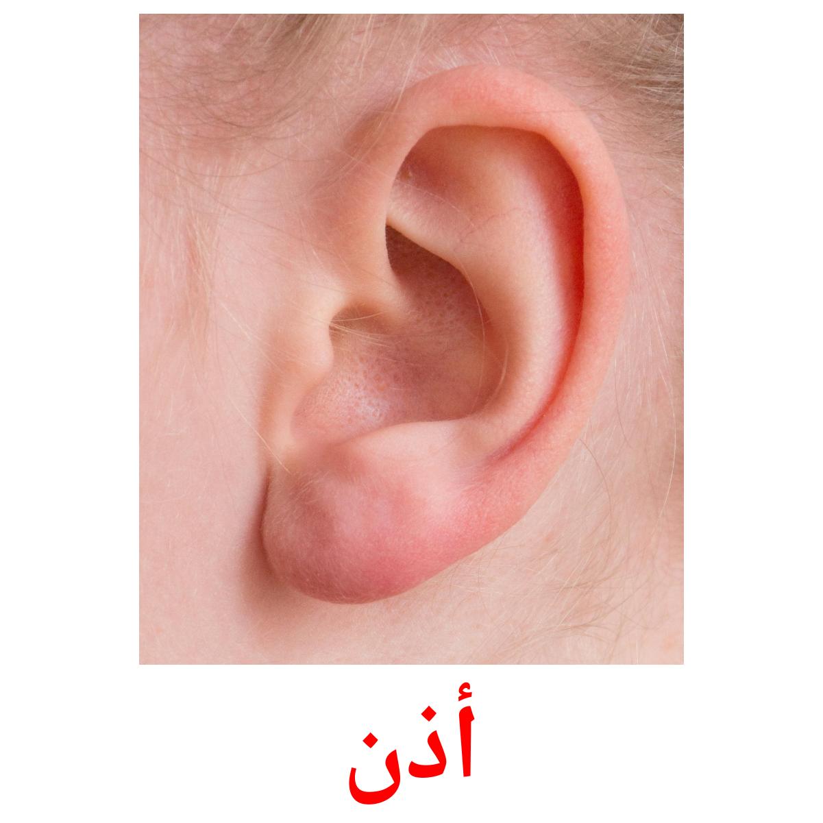 20 Printable Face Flashcards in Arabic (Free PDF)