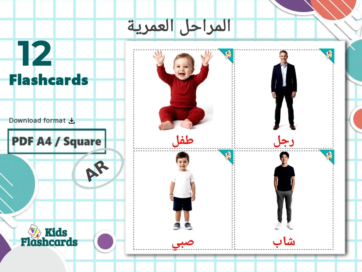 12 Printable Stages Flashcards in Arabic (Free PDF)