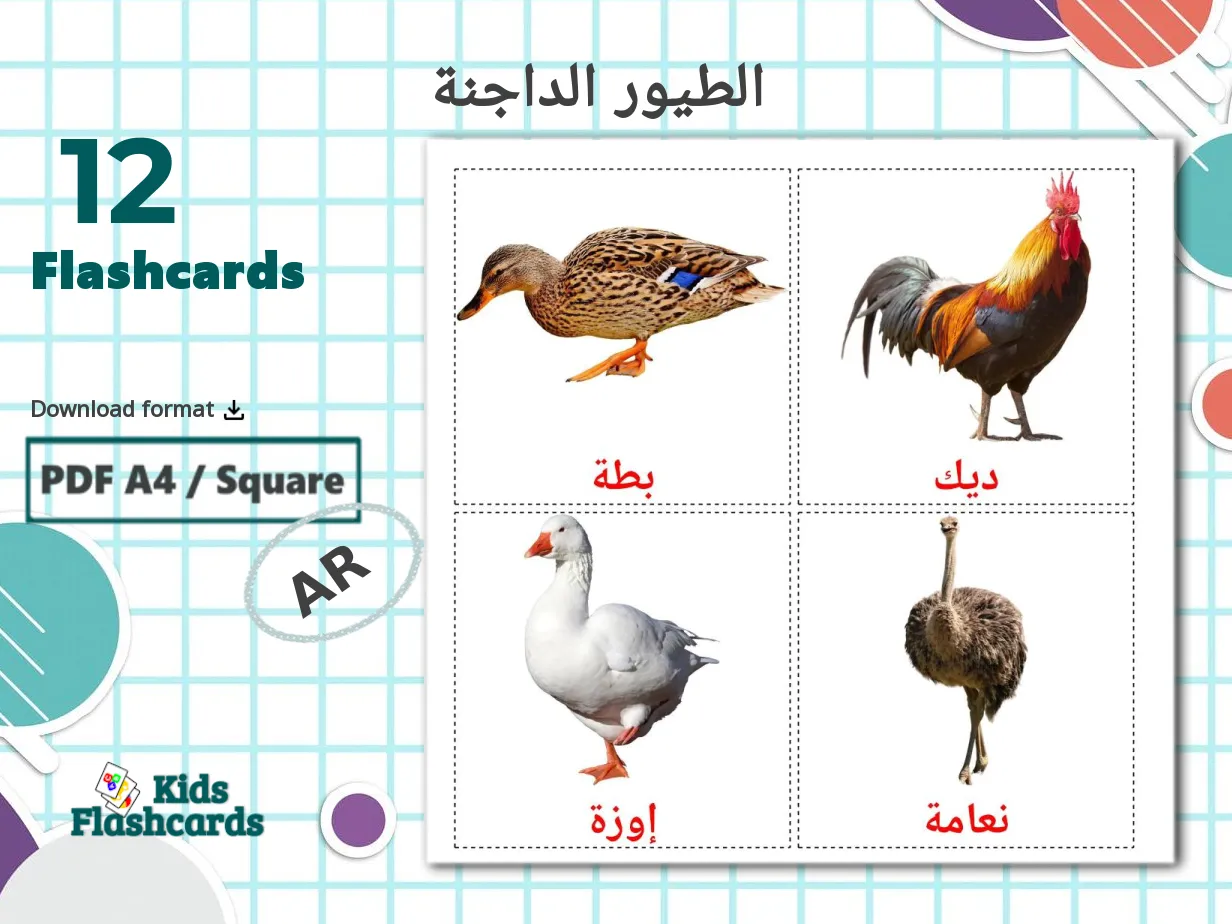 12 Printable Farm birds Flashcards in Arabic (Free PDF)