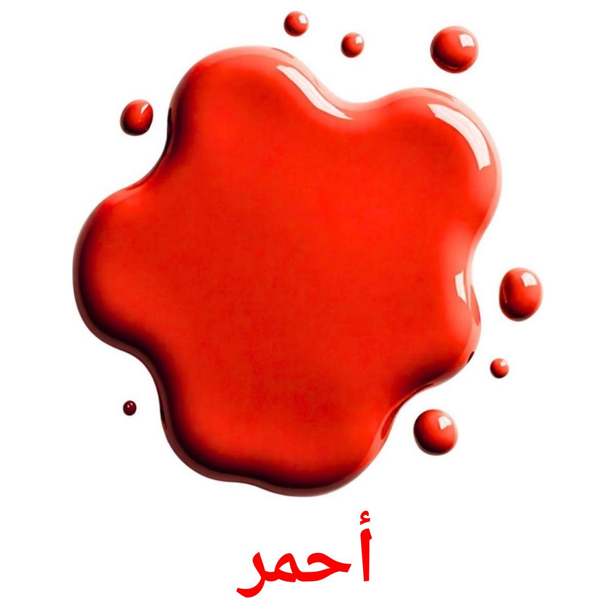 12 FREE Base colors Flashcards | PDF | Arabic Words