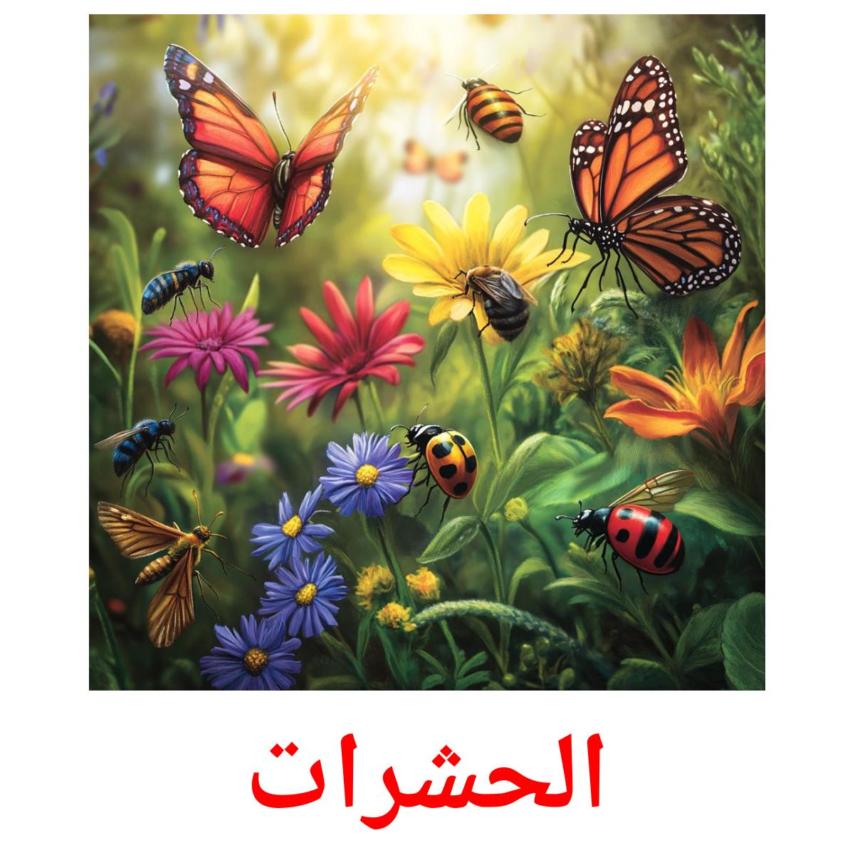 24 Printable Insects Flashcards in Arabic (Free PDF)