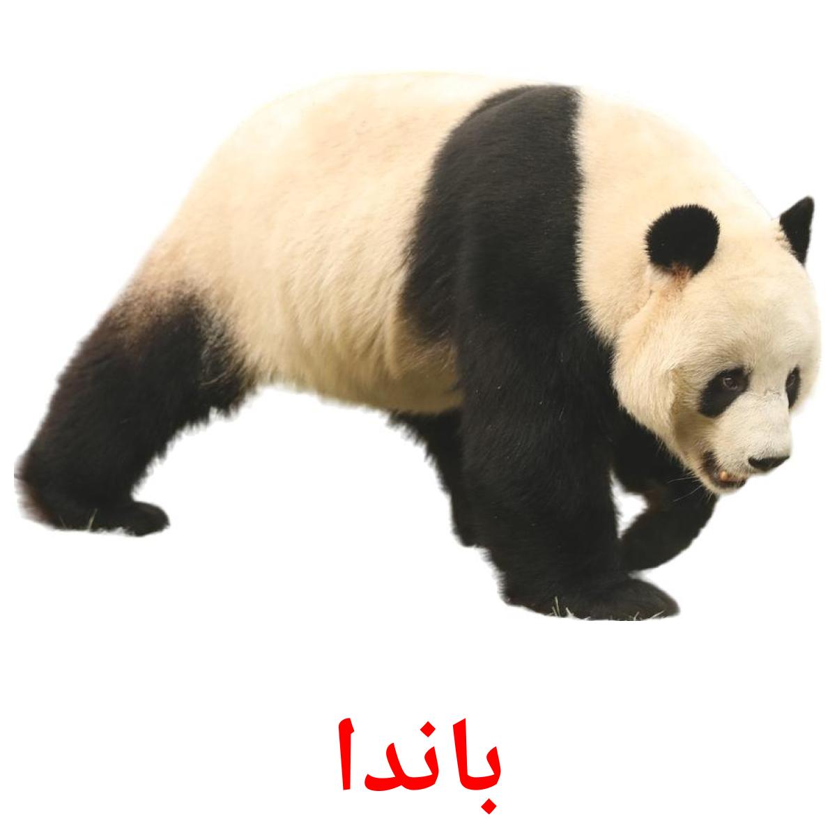 22 Printable Jungle animals Flashcards in Arabic (Free PDF)