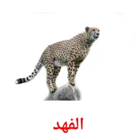 22 Printable Jungle animals Flashcards in Arabic (Free PDF)