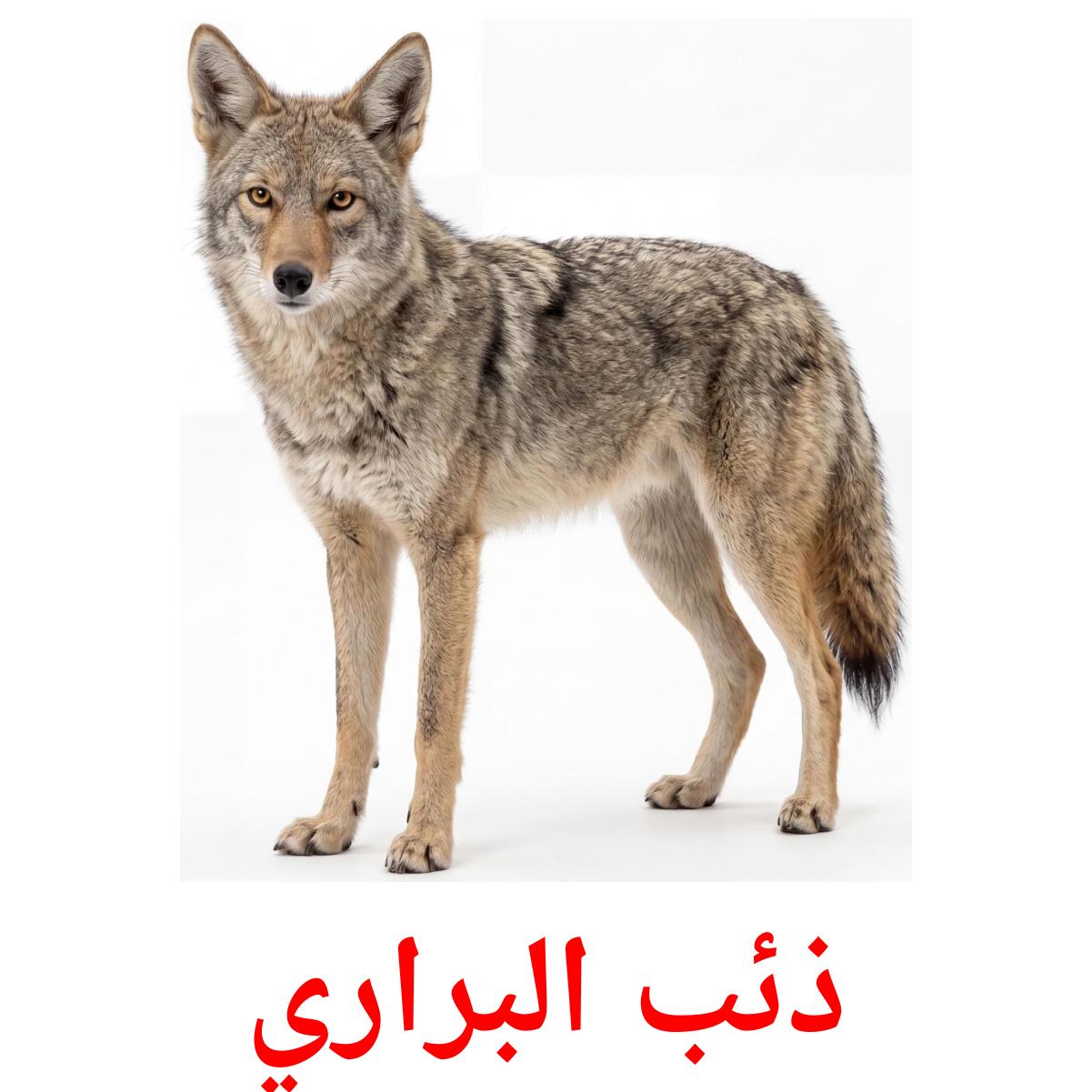 23 Printable Forest animals Flashcards in Arabic (Free PDF)