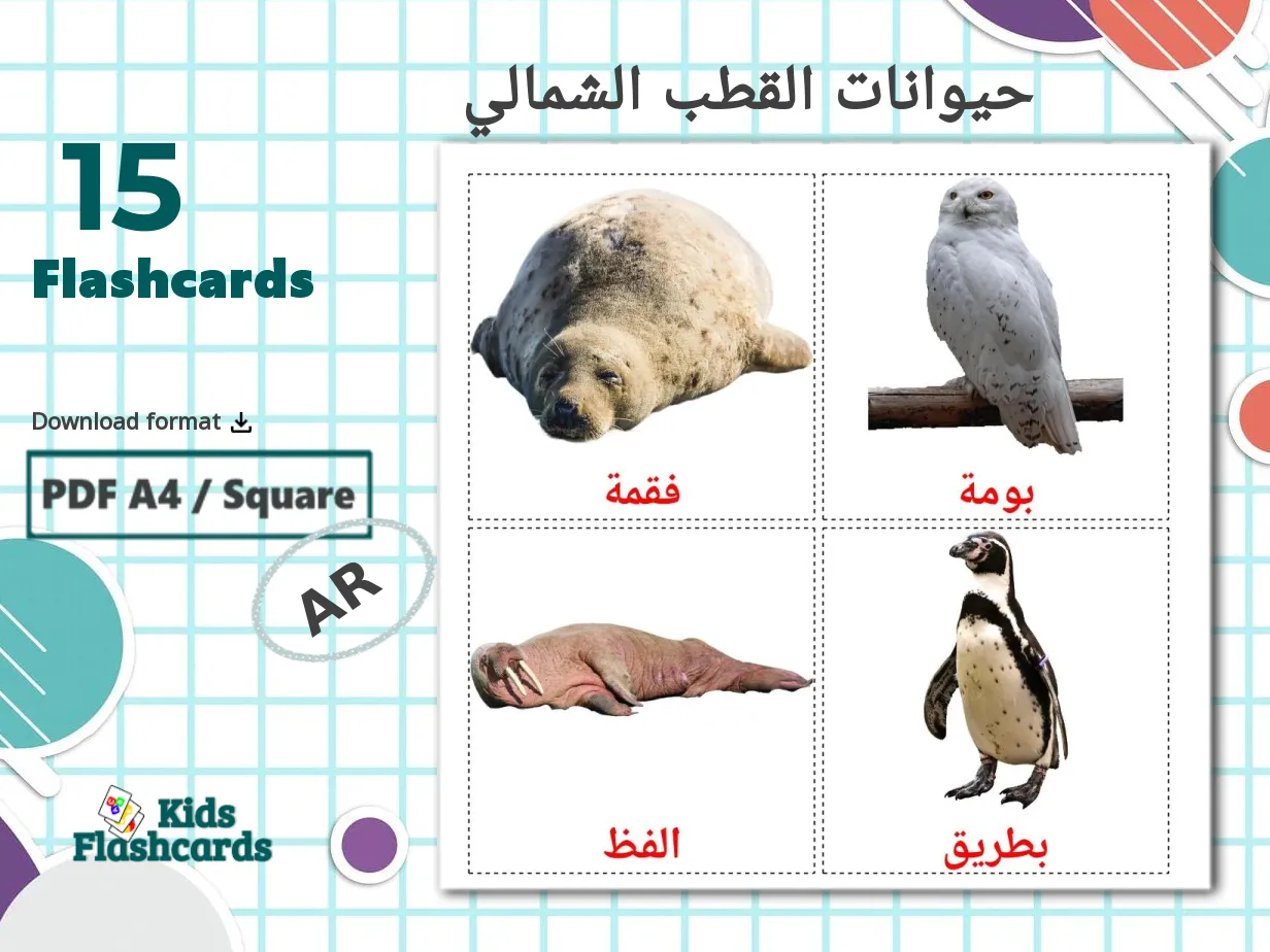15 Printable Arctic animals Flashcards in Arabic (Free PDF)