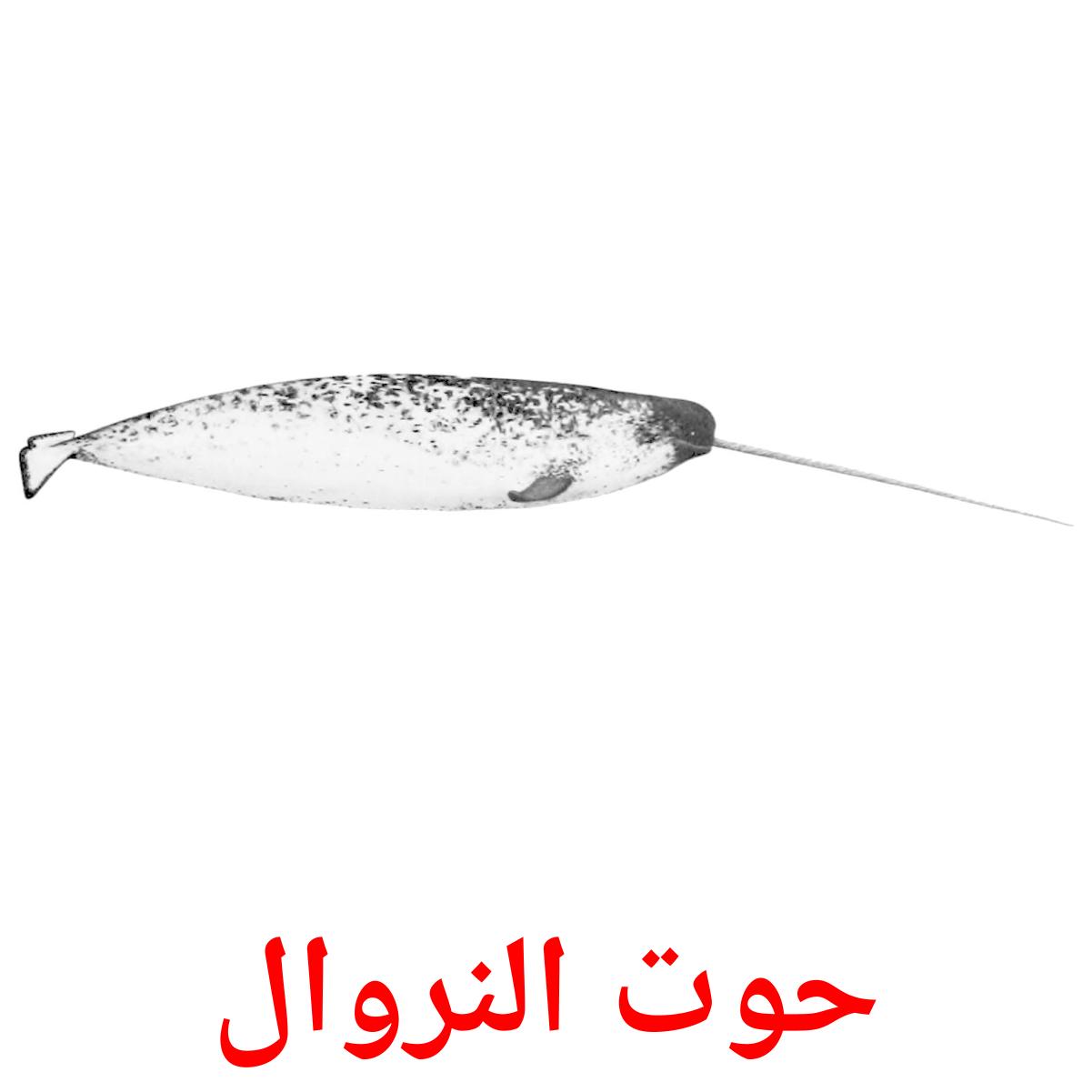 14 FREE Arctic animals Flashcards | PDF | Arabic Words